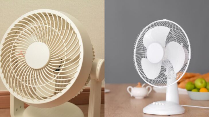 Circulators Vs Fans: Which Is Best For Your Indoor Plants? - Garden For ...
