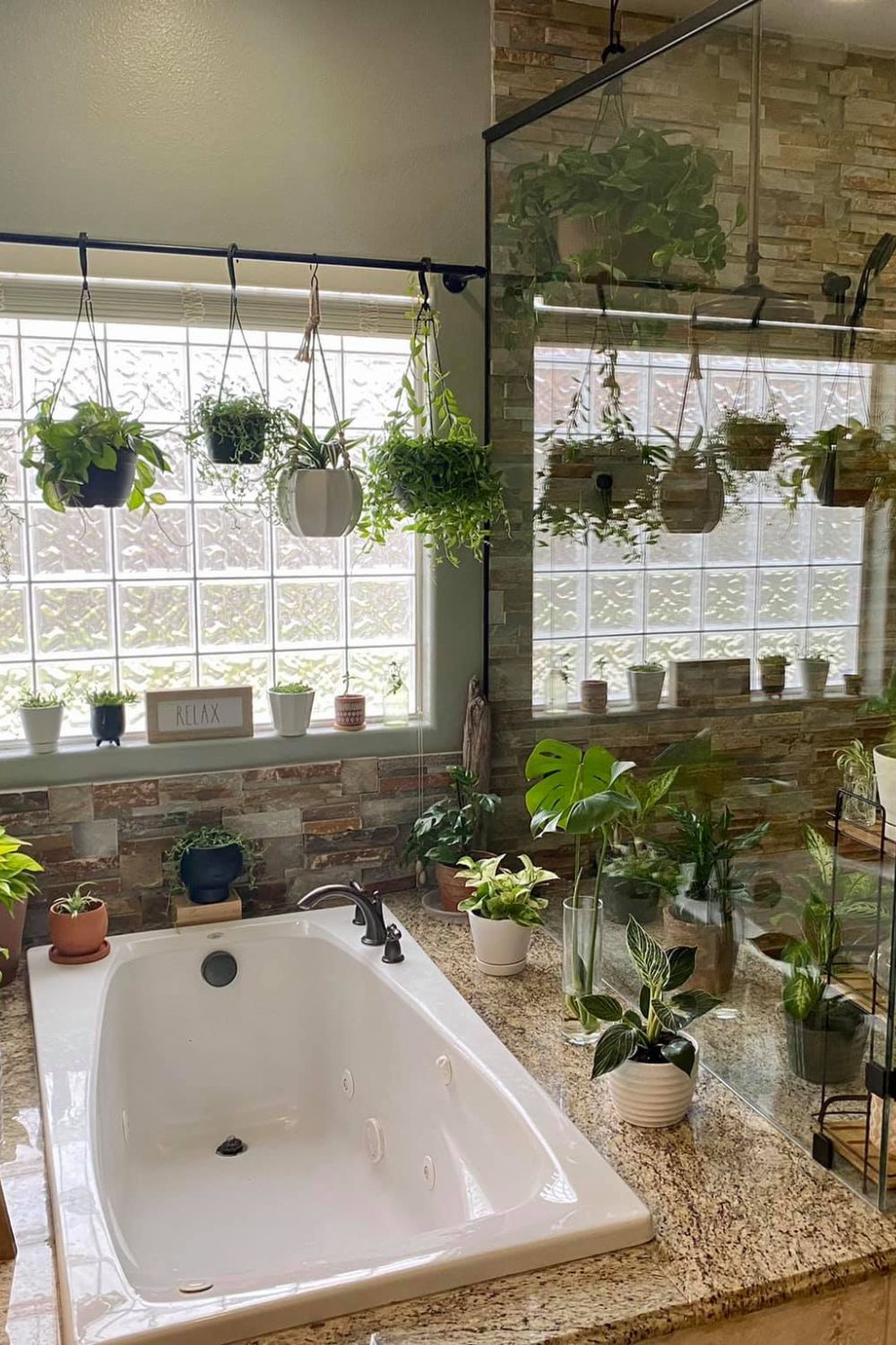 Home Tropics: Bathroom Plants That Love Humidity And Help You Unwind ...
