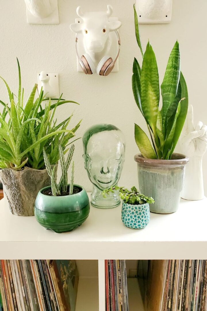Choosing The Perfect Plant Pot: Size, Material & Style Tips - Garden ...